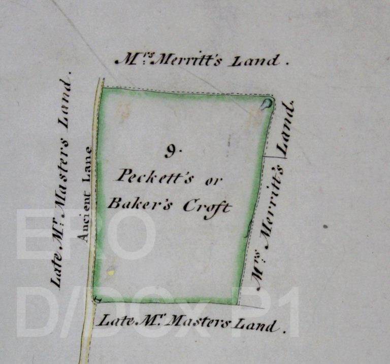 Thomas Baker of Fobbing and the Peasants’ Revolt